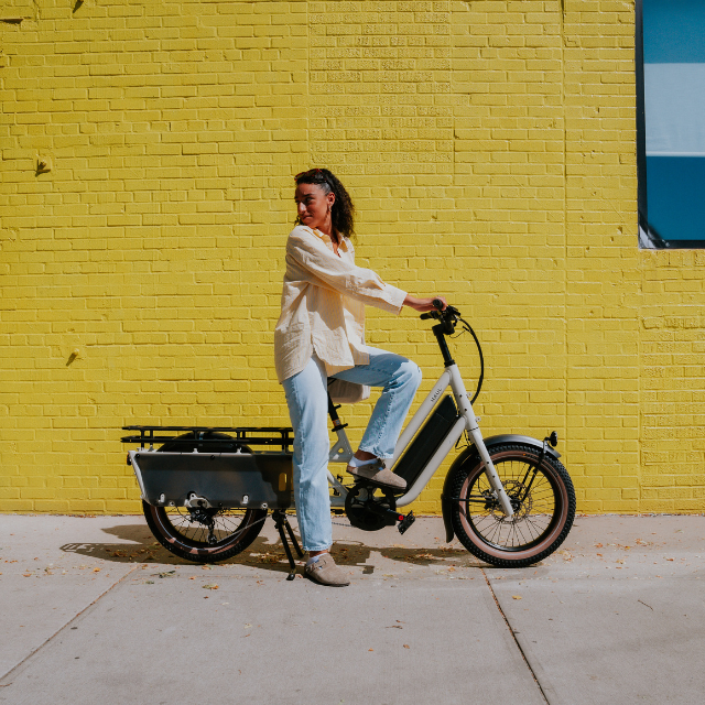 Electric Bike Types: A Simple Buyer's Guide | Upway