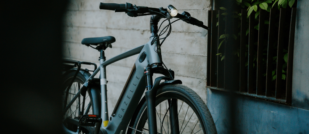 Brand Comparison: Specialized vs Gazelle | Upway