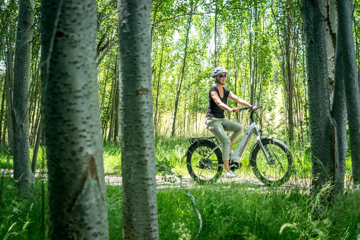 women's best step through ebike for over 70's under $1000 | Upway